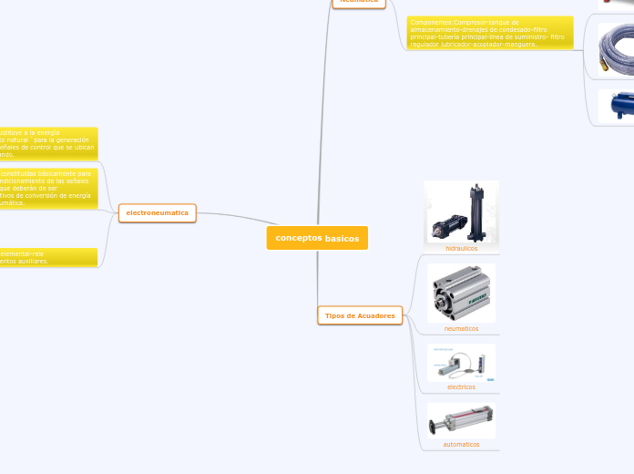 conceptos basicos - Mind Map